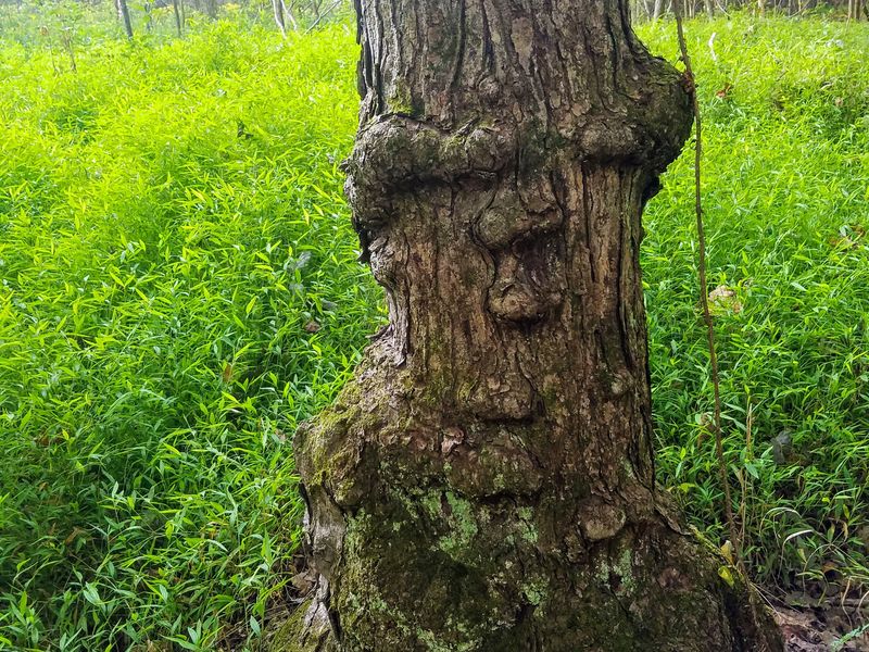 Lumpy | Smithsonian Photo Contest | Smithsonian Magazine