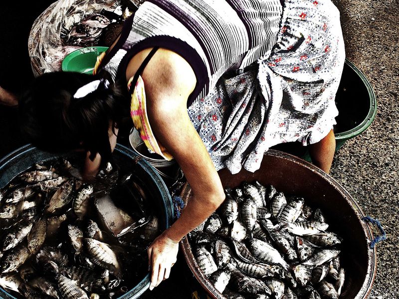 Daily life of a fish vendor | Smithsonian Photo Contest | Smithsonian ...