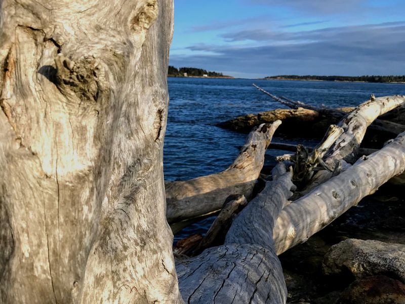 Wood and Water | Smithsonian Photo Contest | Smithsonian Magazine