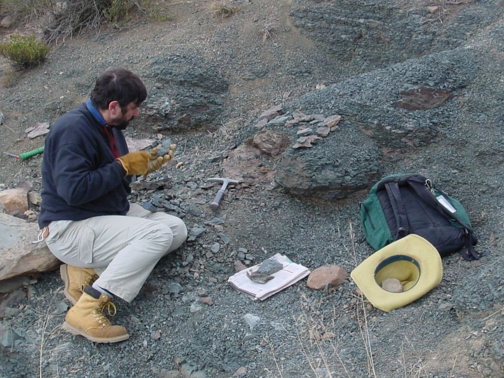 National Museum of Natural History Scientists Discover That Ancient ...
