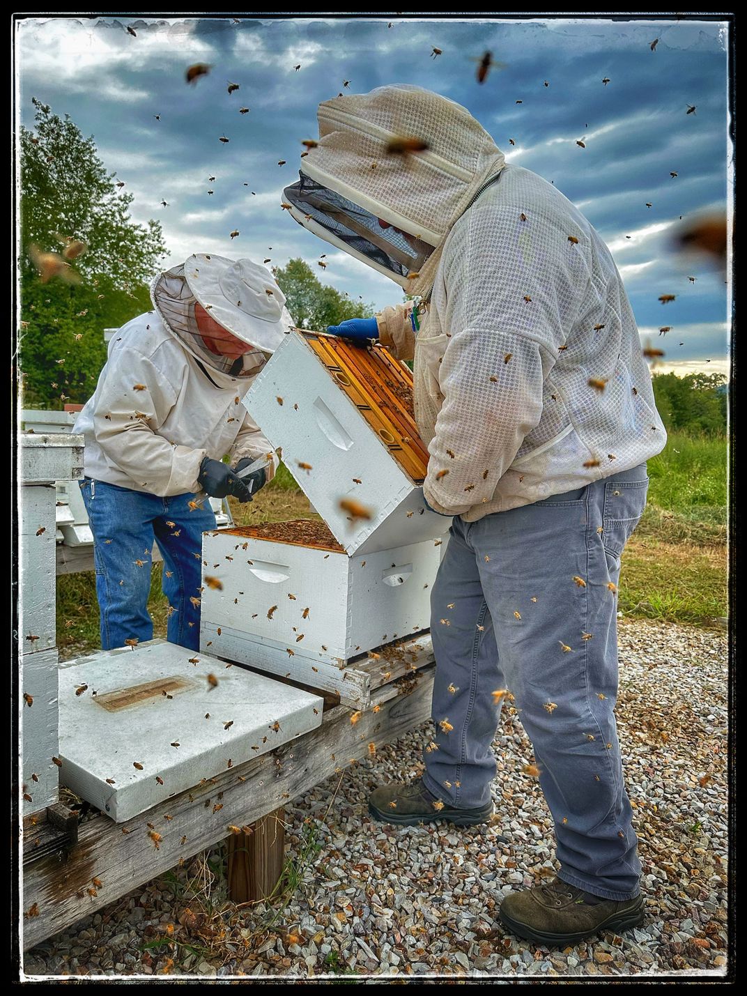 Hot Springs Beekeepers | Smithsonian Photo Contest | Smithsonian Magazine