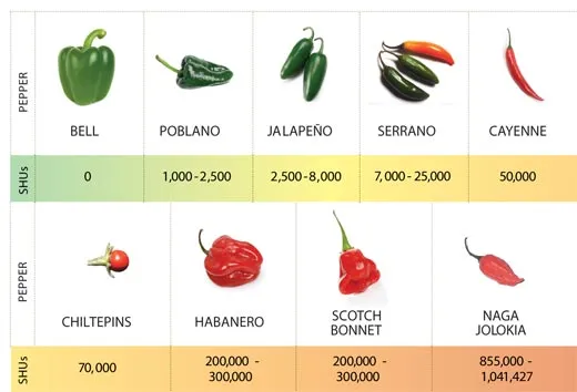 Identifying Hot Chili Peppers Getting Know Pepper Varieties That Bring