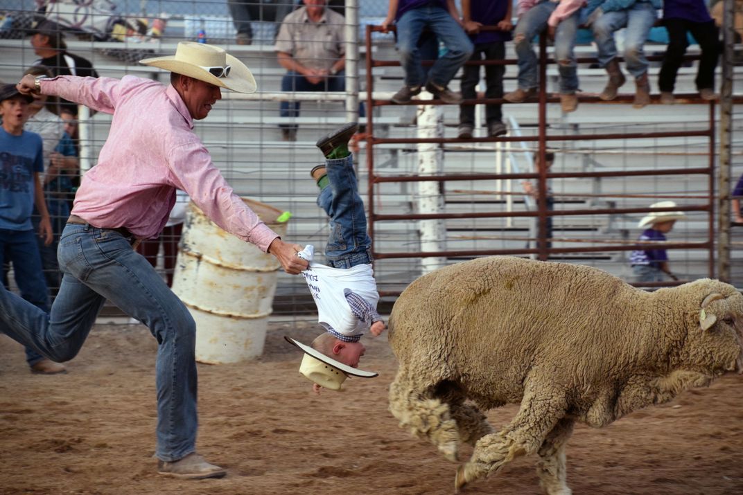 Mutton busting at the Wayne County (Utah) Fair | Smithsonian Photo ...
