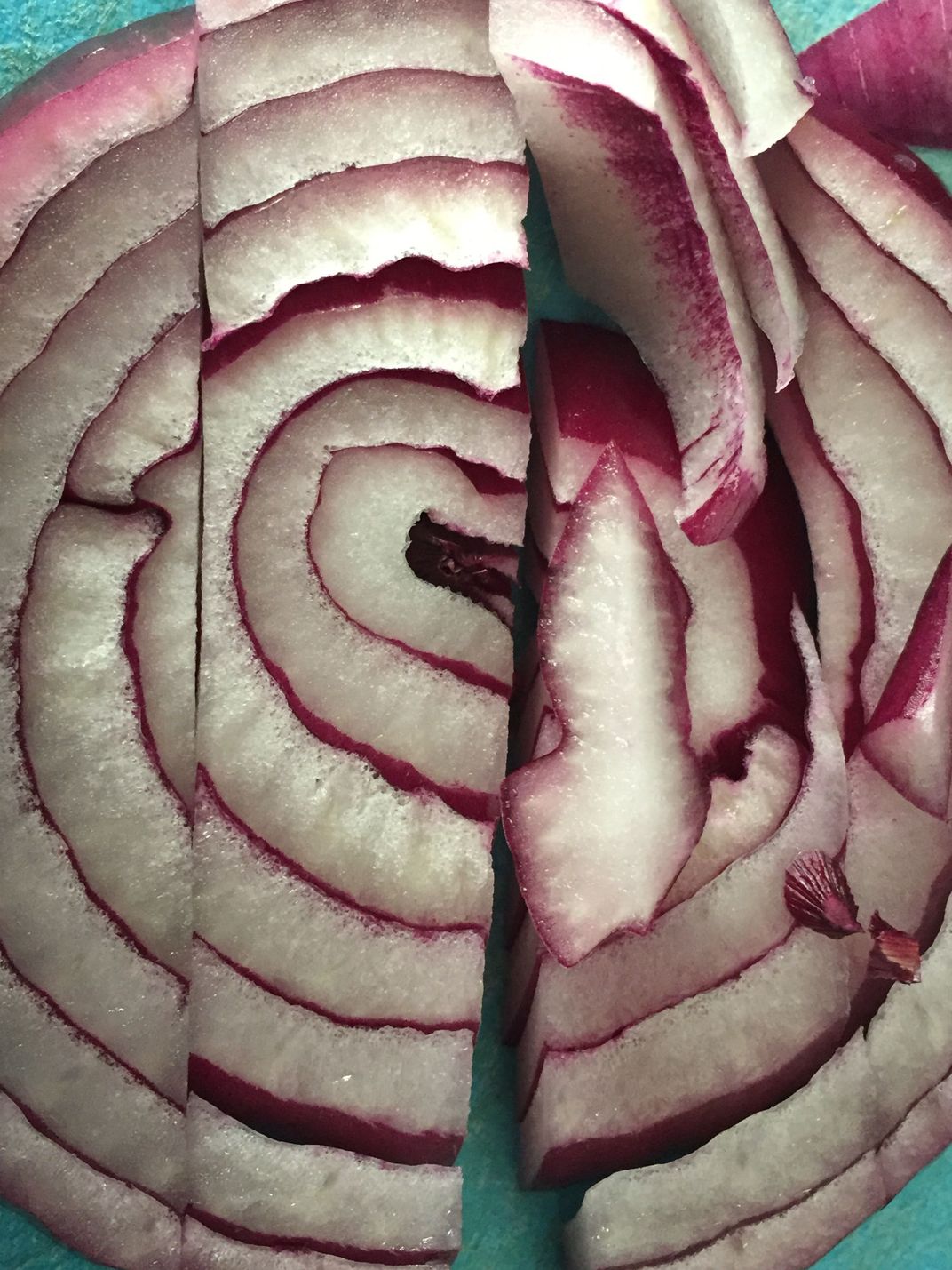 Deconstructed Onion | Smithsonian Photo Contest | Smithsonian Magazine