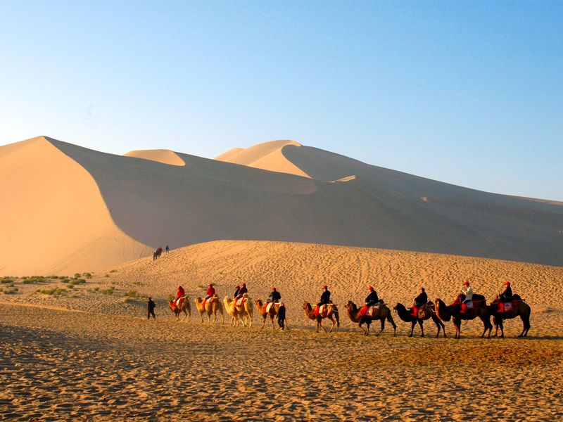 Camel caravan on The Old Silk Road | Smithsonian Photo Contest ...