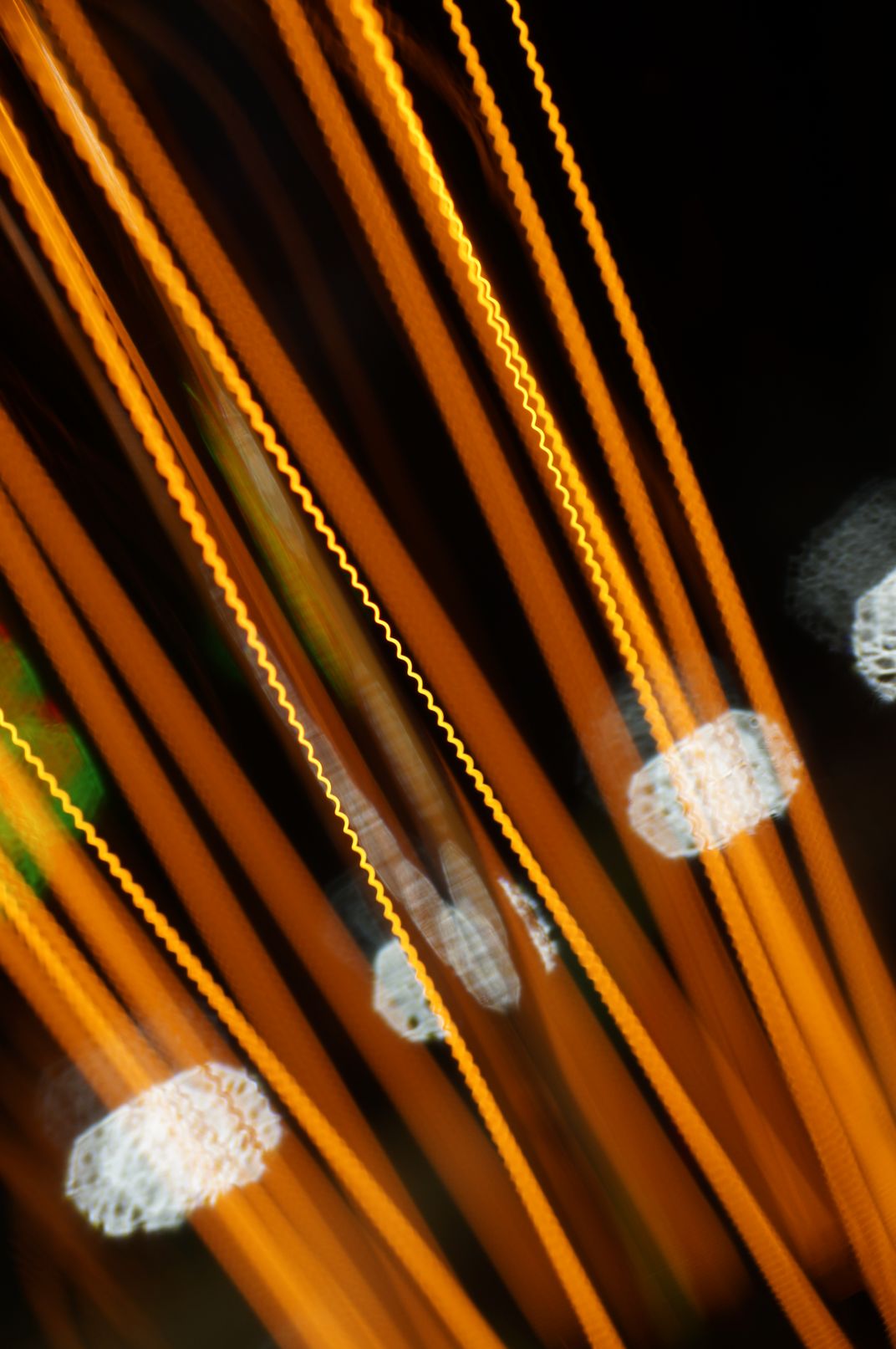 Filamental | Smithsonian Photo Contest | Smithsonian Magazine