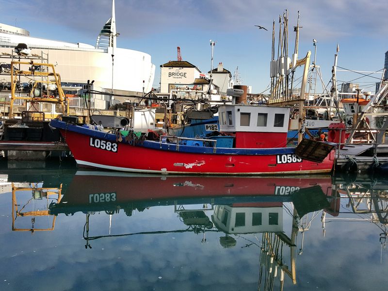Fishing boat in the Camber | Smithsonian Photo Contest | Smithsonian ...