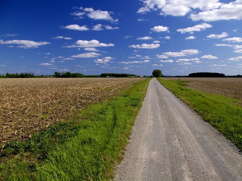 Driving down a dirt road in Ohio | Smithsonian Photo Contest ...