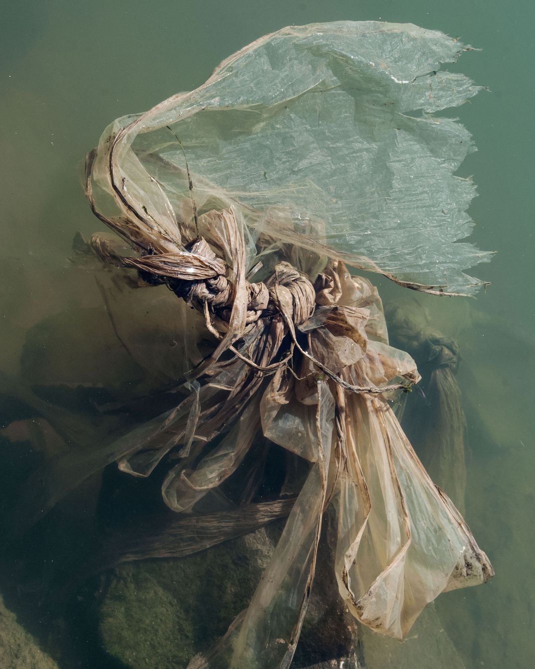 Angel Knot, the tides formed knots in the plastic littering the Gowanus ...