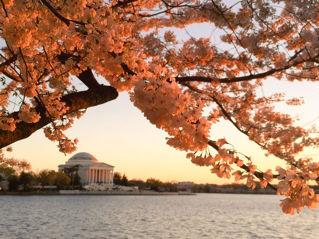 iPhone 6 | Smithsonian Photo Contest | Smithsonian Magazine