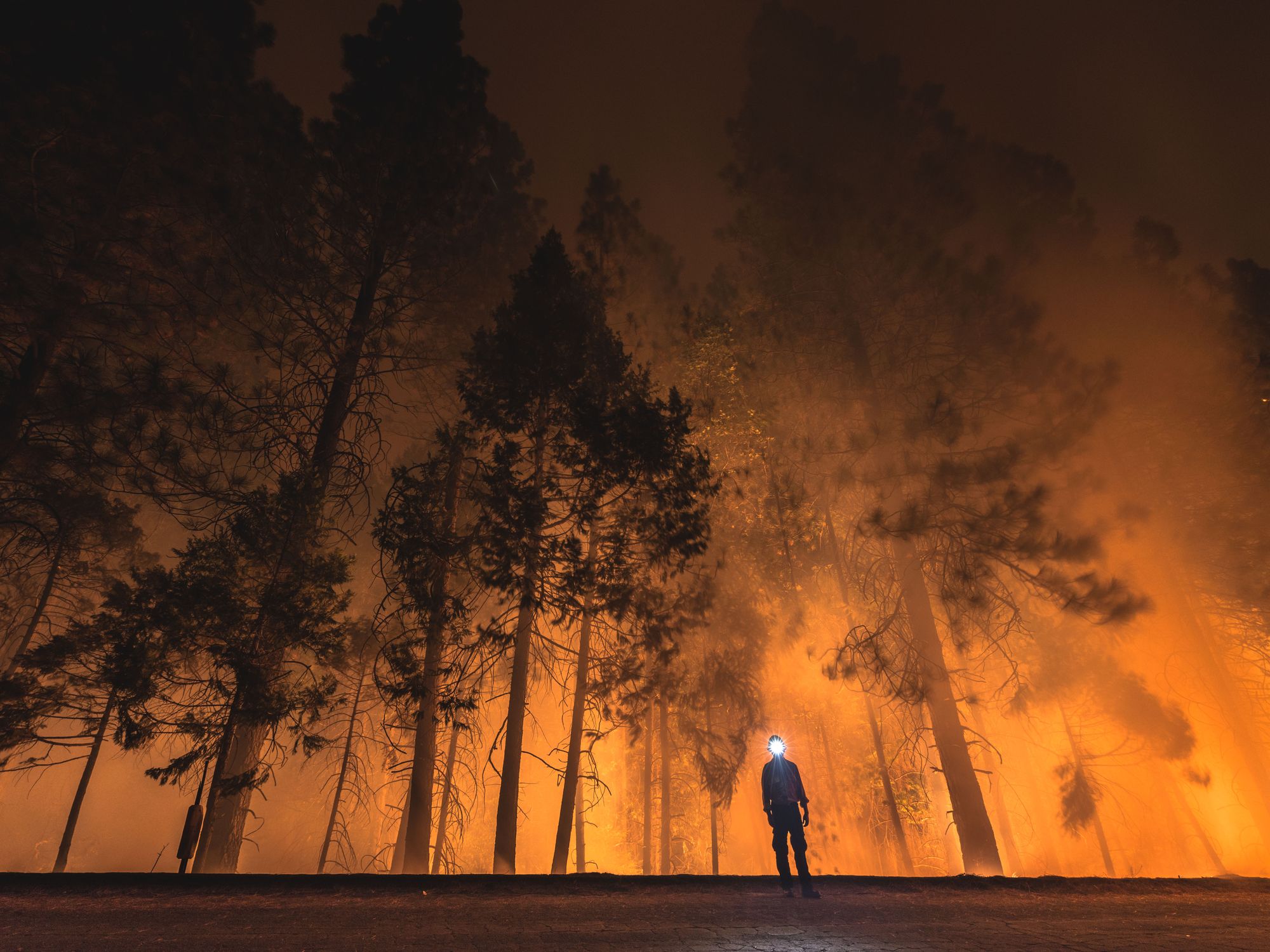See How California Artists Process Wildfires Through Their Work
