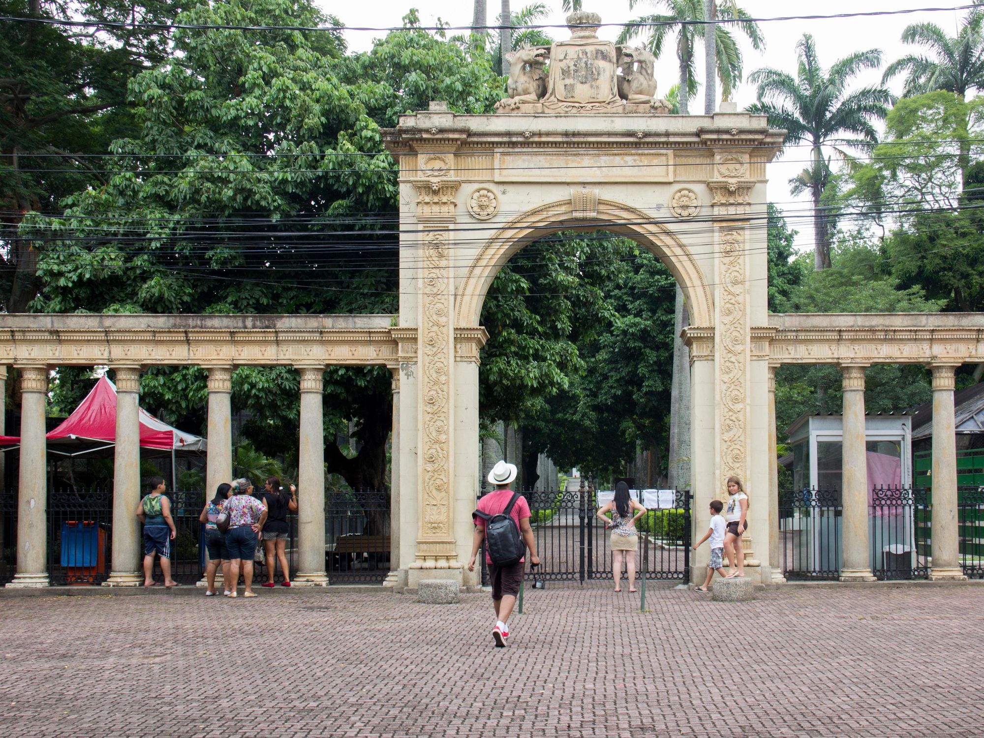 Trove of 30,000 Artifacts Found at RioZoo to Be Given to Fire-Ravaged ...