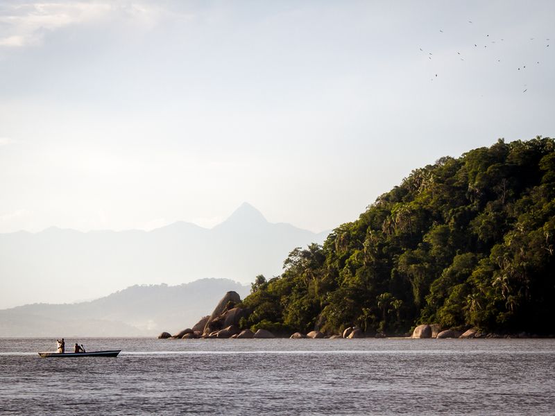 Wolf Island | Smithsonian Photo Contest | Smithsonian Magazine