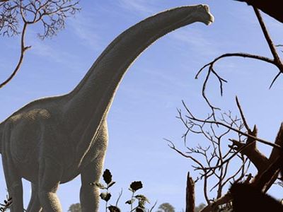 Articles: News & Features | Smithsonian Magazine