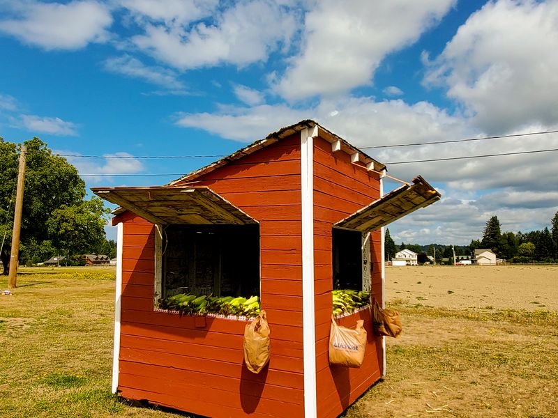 Farmstand | Smithsonian Photo Contest | Smithsonian Magazine