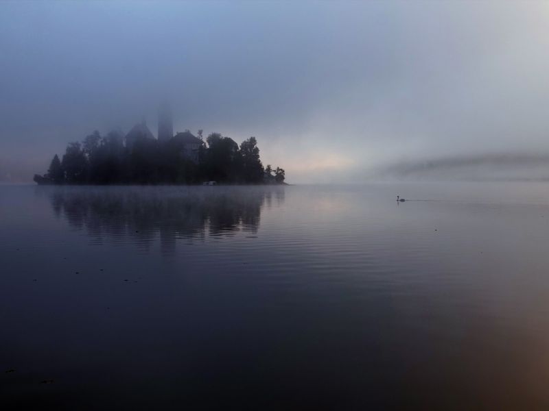 foggy morning on the lake | Smithsonian Photo Contest | Smithsonian ...