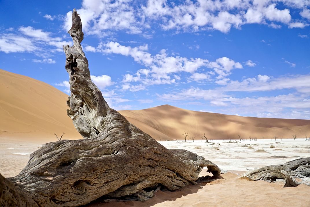 Skeleton of tree in Deadvlei, Namibia | Smithsonian Photo Contest ...