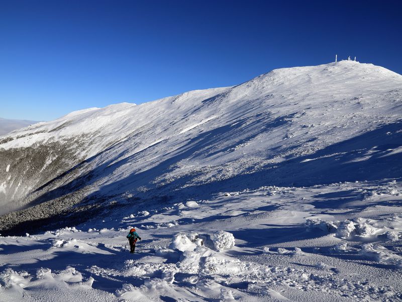Alone in a Harsh Environment | Smithsonian Photo Contest | Smithsonian ...