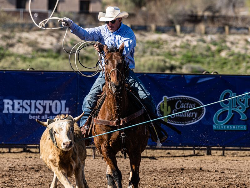 Gotcha... | Smithsonian Photo Contest | Smithsonian Magazine