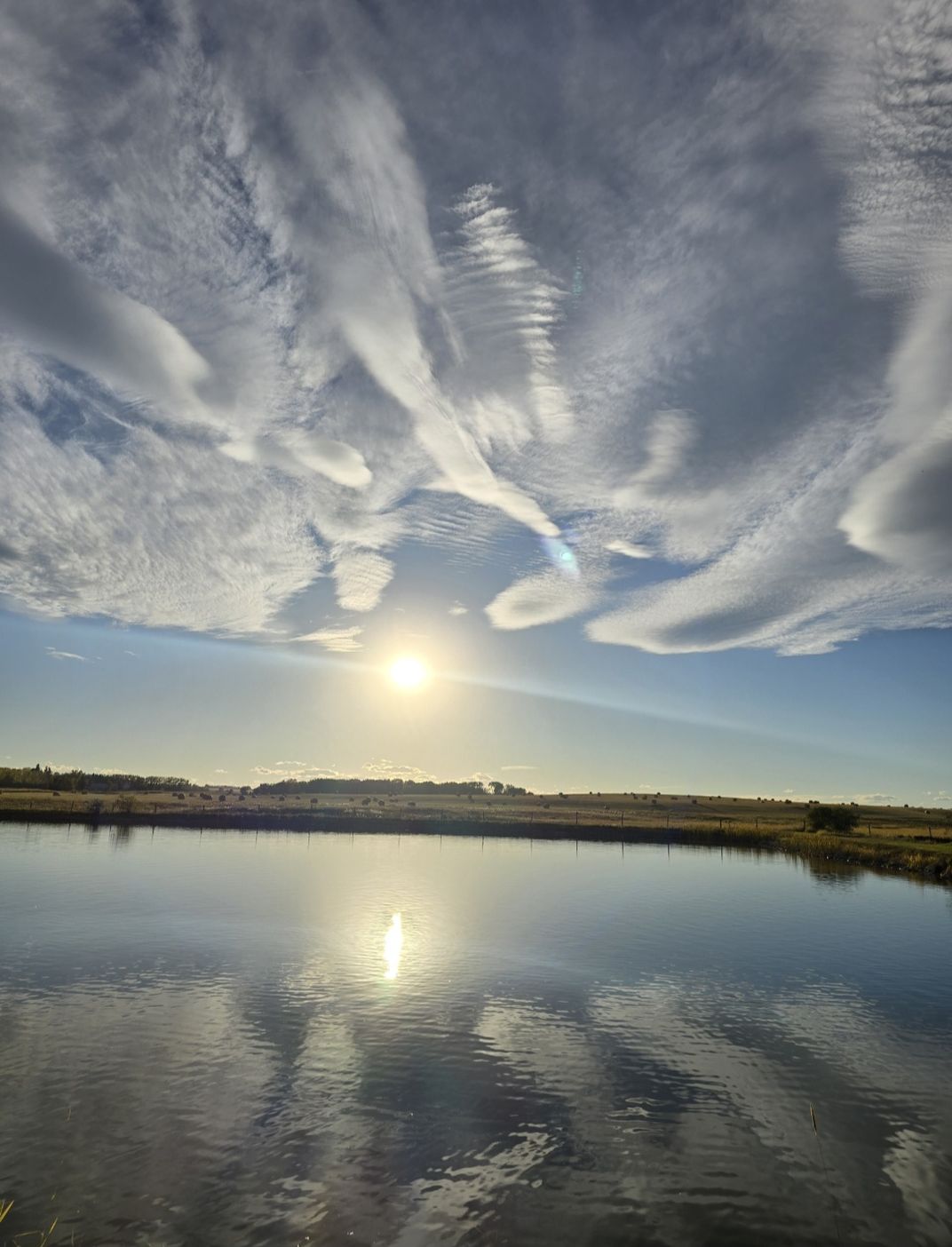 Reflection on a fish pond | Smithsonian Photo Contest | Smithsonian ...