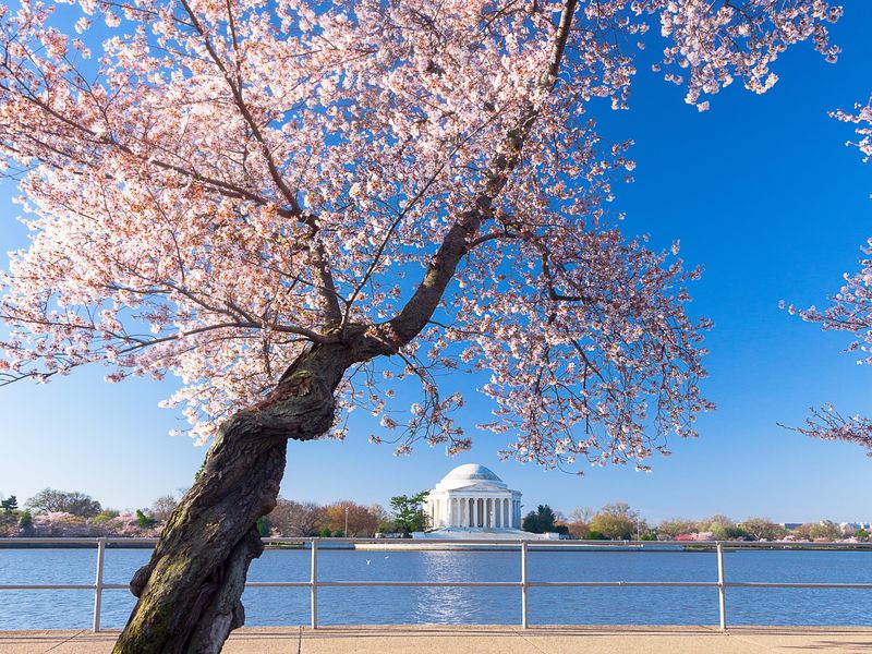 Another pinky dream over Potomac river | Smithsonian Photo Contest ...