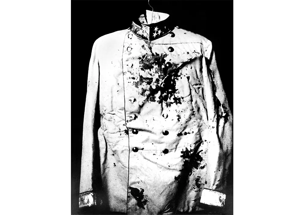 gavrilo princip interview