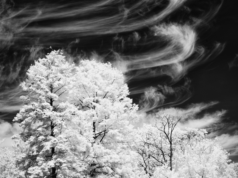 Infrared Landscape | Smithsonian Photo Contest | Smithsonian Magazine
