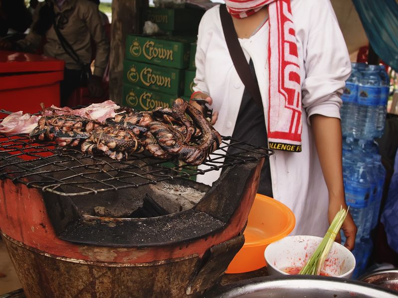 Barbecued snake for sale, on the edge of the Tonle Sap Lake, near Siem ...
