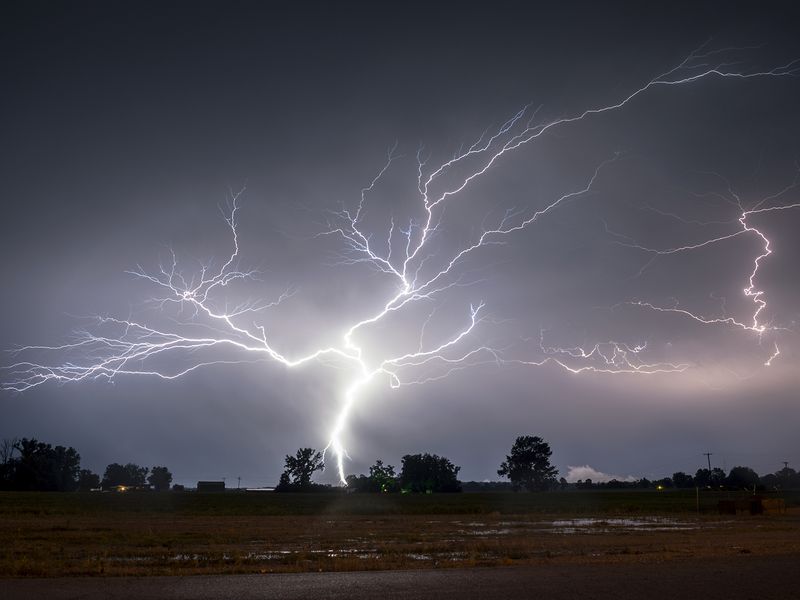 Lightning Tree | Smithsonian Photo Contest | Smithsonian Magazine