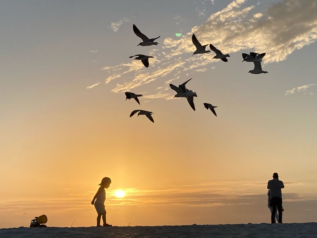 Son playing in sunset at Treasure Island Beach | Smithsonian Photo ...