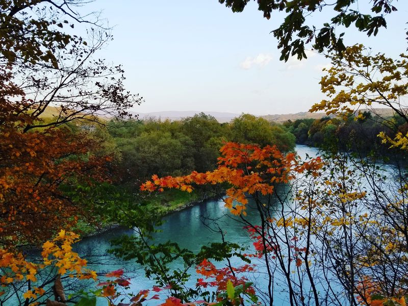The riverside in autumn. | Smithsonian Photo Contest | Smithsonian Magazine