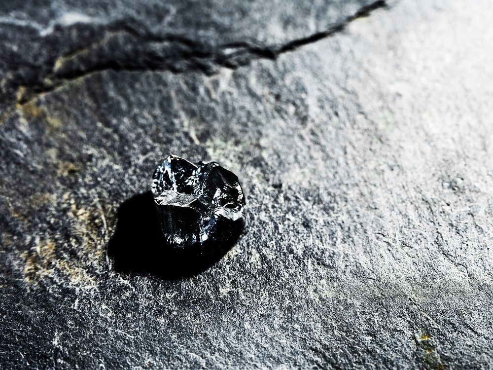 Do These Fossilized Teeth Belong to the World’s Smallest Great Ape?