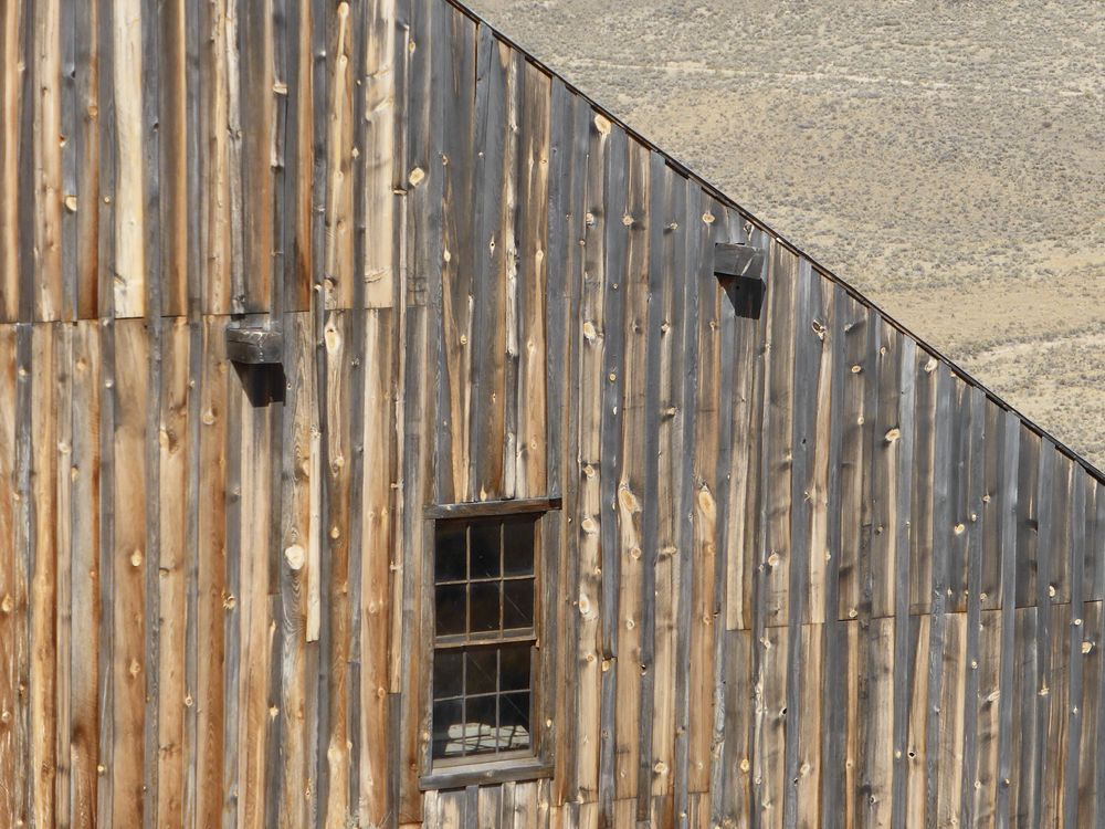 Rustic Lean-to | Smithsonian Photo Contest | Smithsonian Magazine