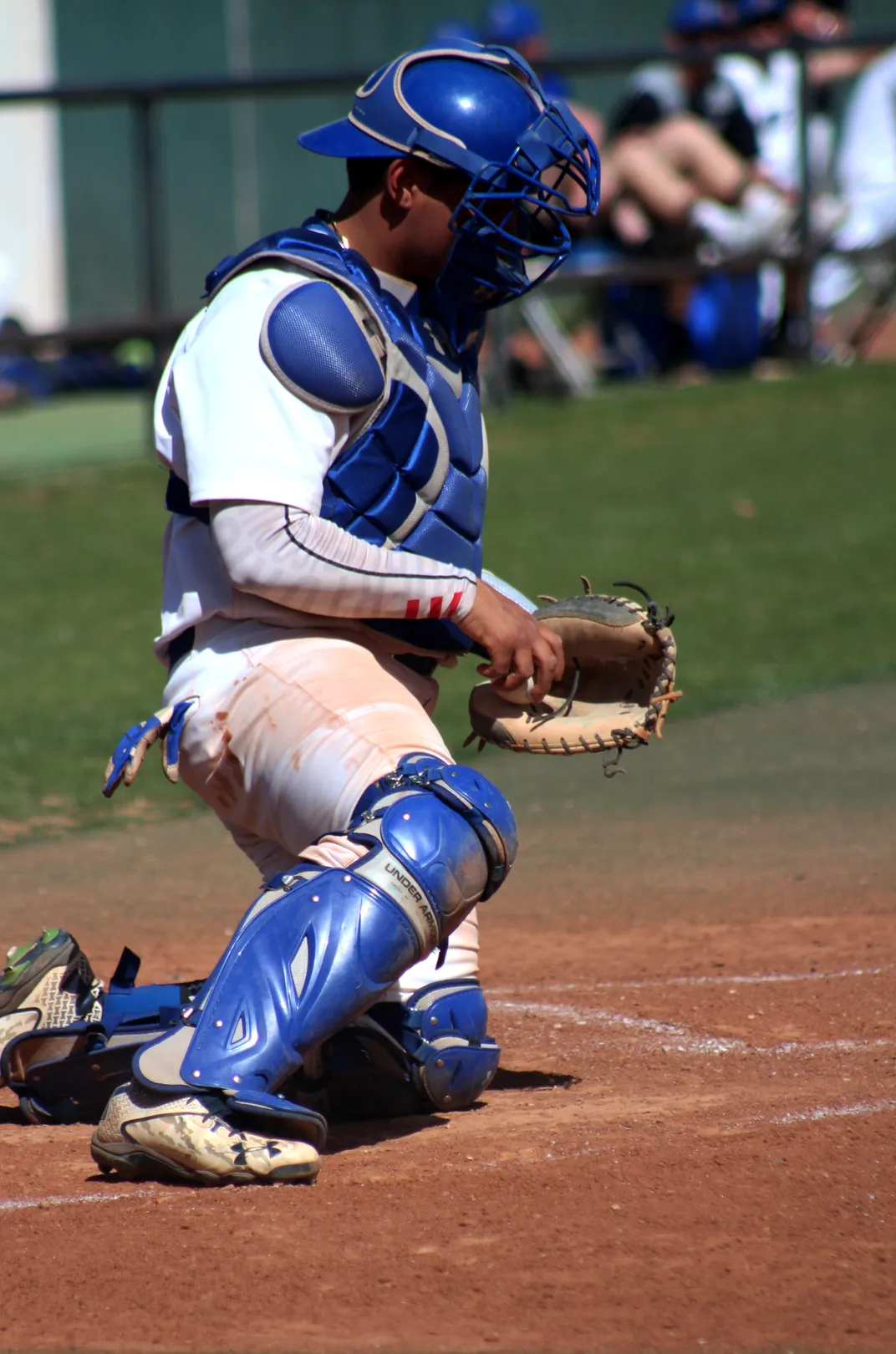 Beaver Ready | Smithsonian Photo Contest | Smithsonian Magazine