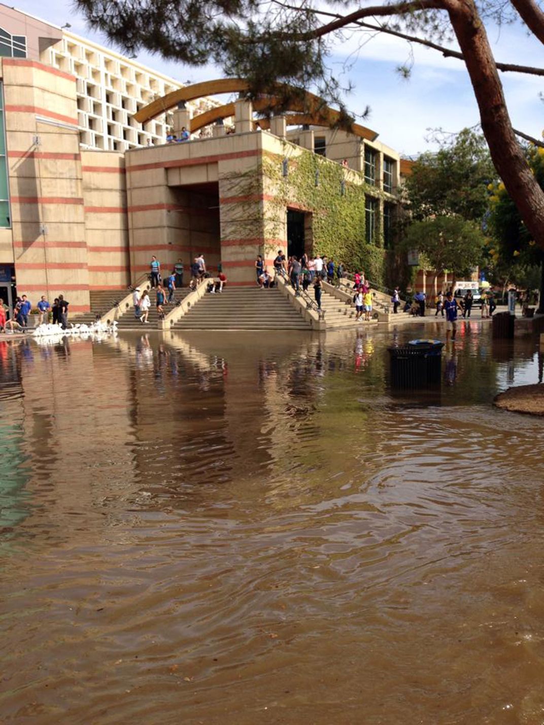 UCLA flood | Smithsonian Photo Contest | Smithsonian Magazine