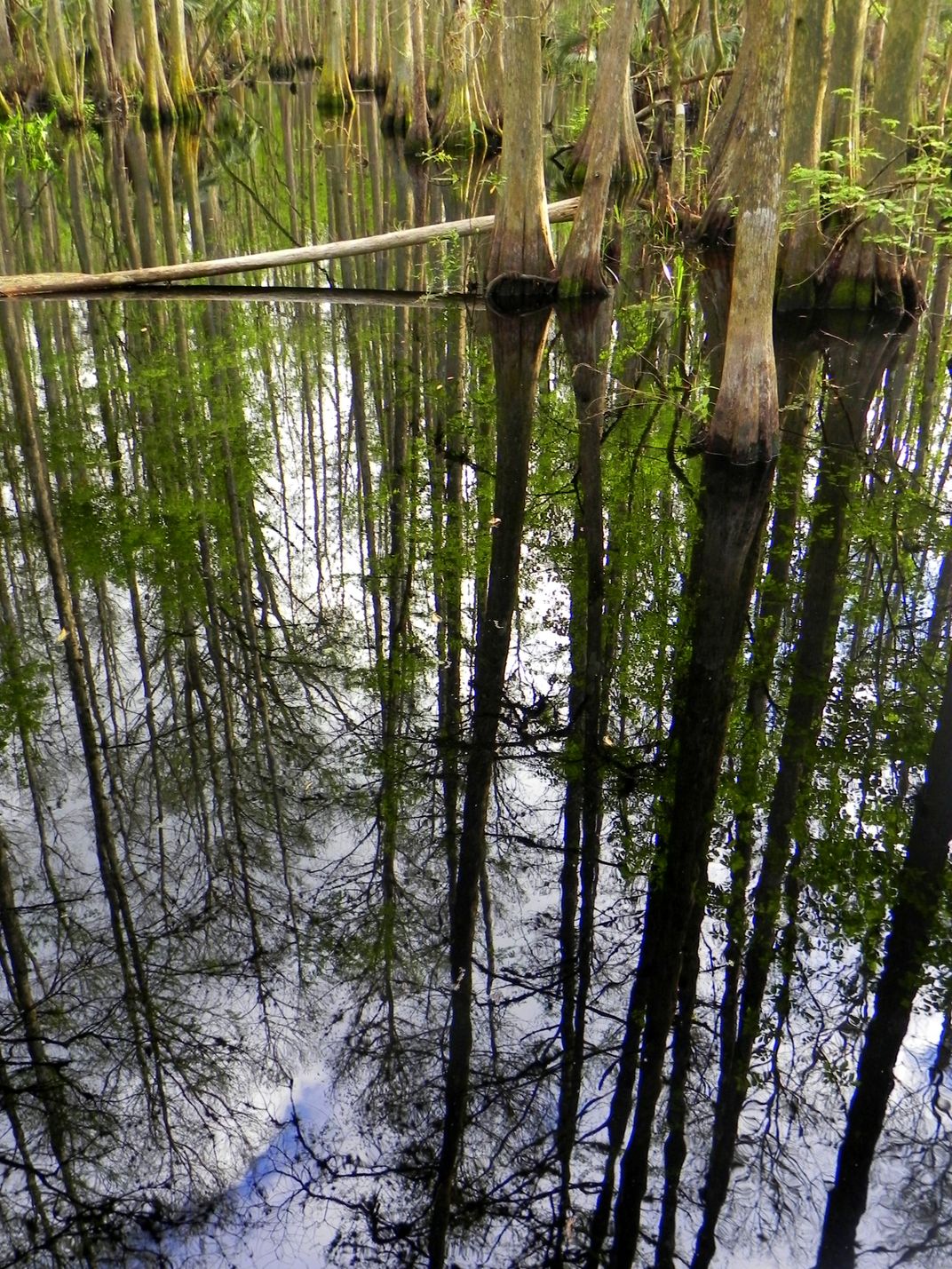 Reflection | Smithsonian Photo Contest | Smithsonian Magazine