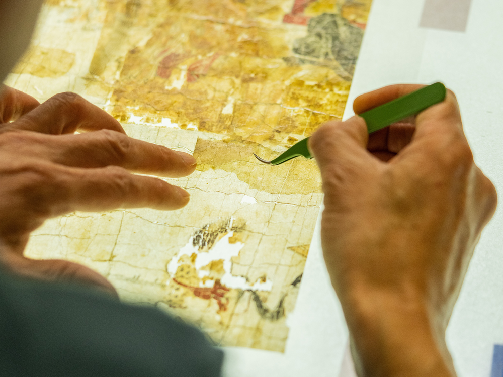 Where Art Meets Science | Smithsonian Voices | Your IMPACT | Your ...