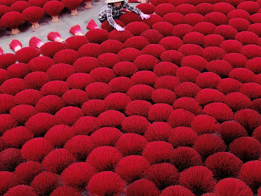 Fields of Red Incense in Vietnam | Smithsonian Photo Contest ...