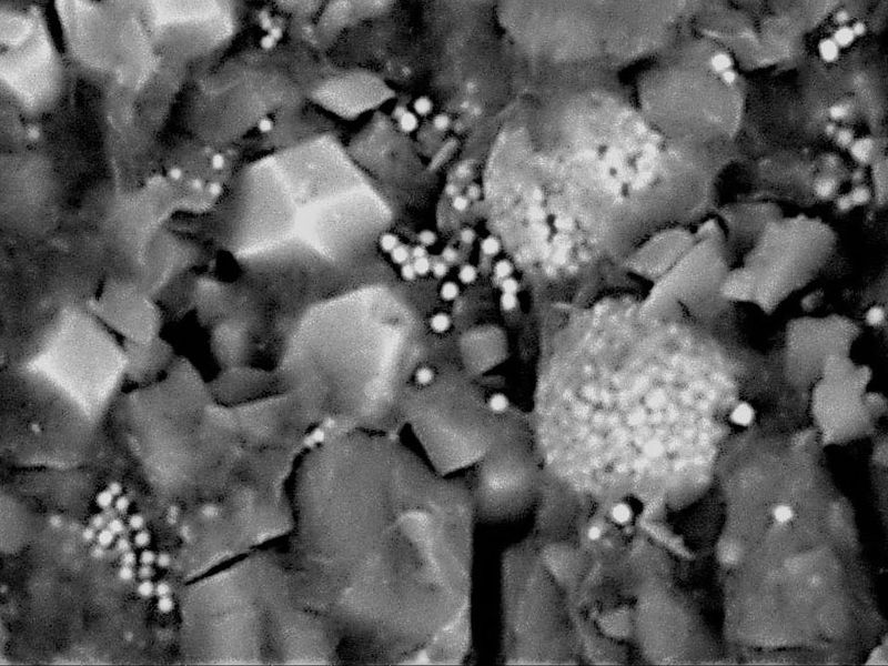 Crystallites of pyrite in clayey limestone | Smithsonian Photo Contest ...