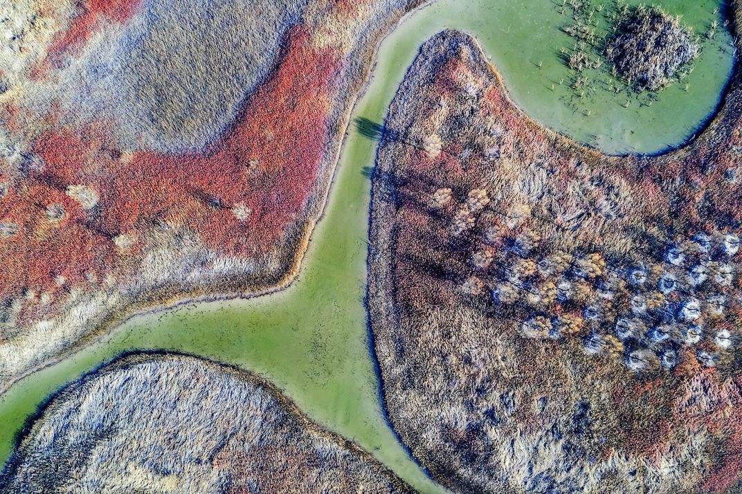 The Color of Autumn | Smithsonian Photo Contest | Smithsonian Magazine