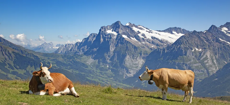 Switzerland: Majestic Peaks and Alpine Villages