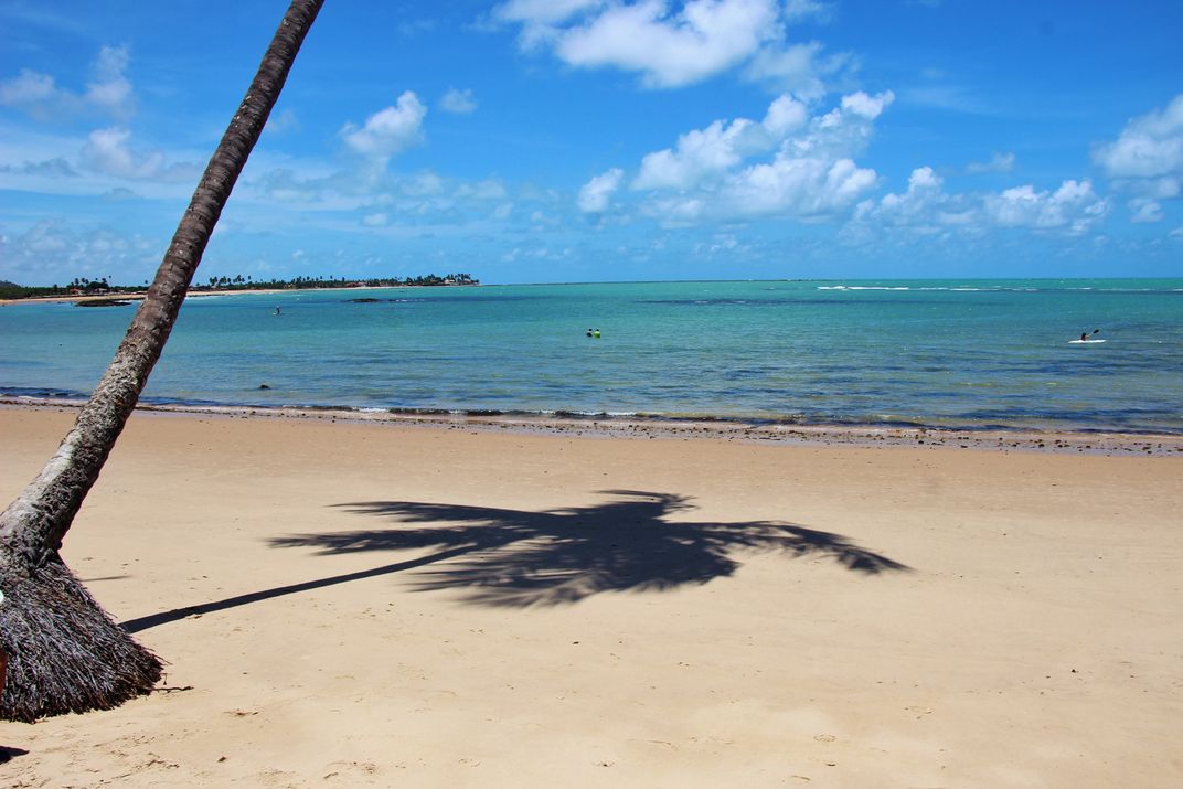 In the shade of the coconut tree | Smithsonian Photo Contest ...