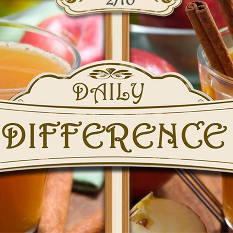 Daily Diff Netflix's One Day Is Based On This Bestselling Book | The