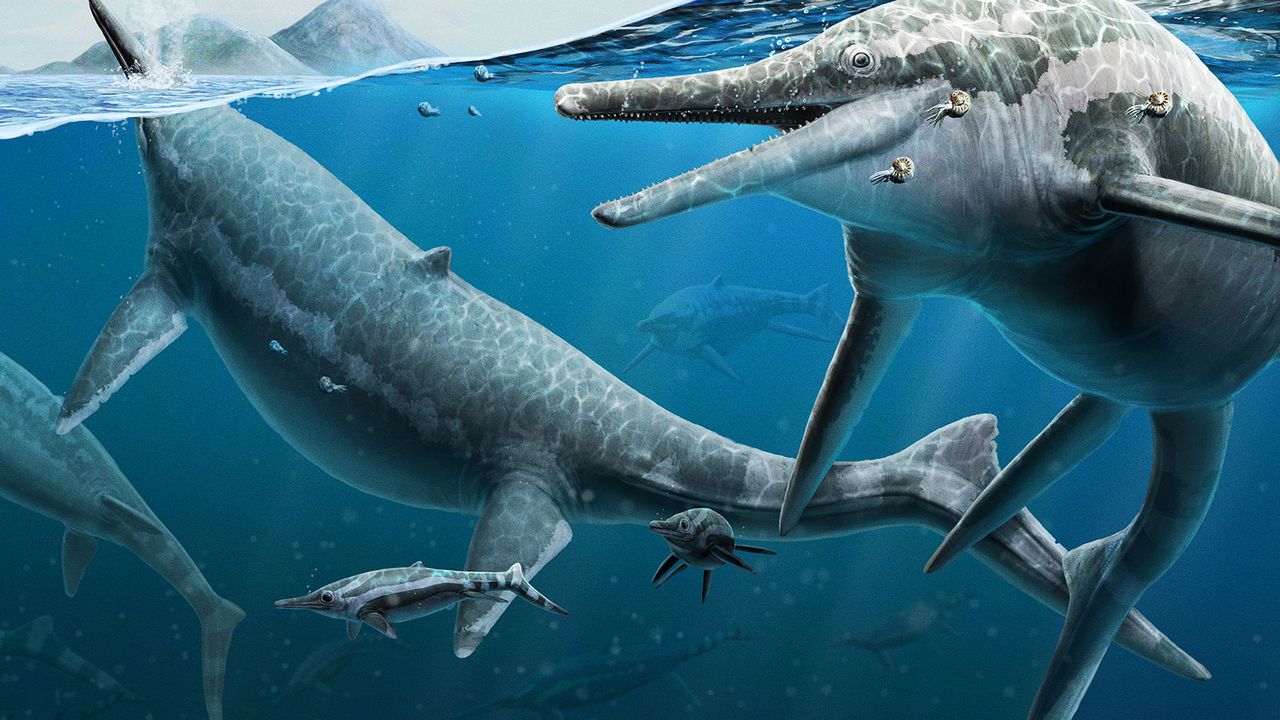 shonisaurus skeleton