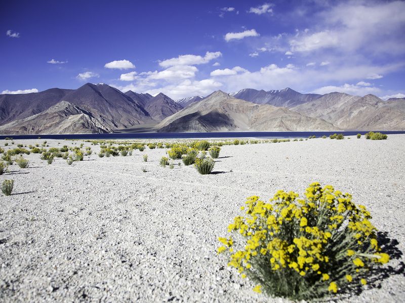 Himalayan Desert | Smithsonian Photo Contest | Smithsonian Magazine