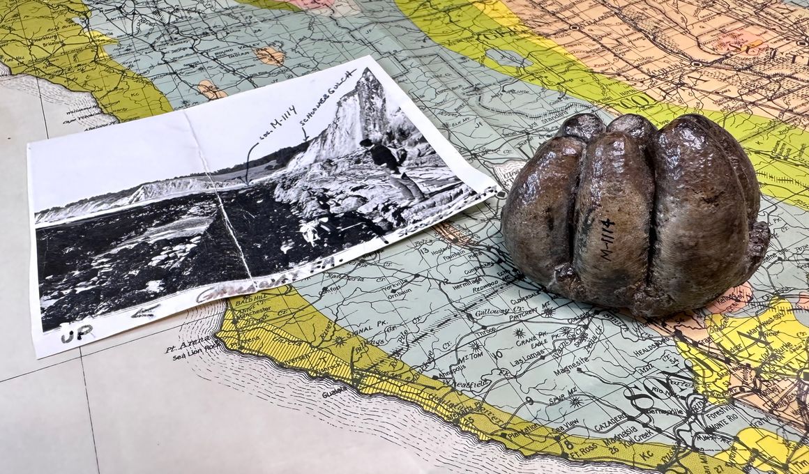 National Museum of Natural History Blog | Smithsonian Magazine