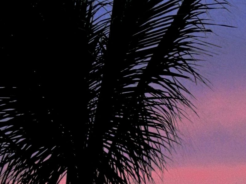 High Density Resolution photo | Smithsonian Photo Contest | Smithsonian ...