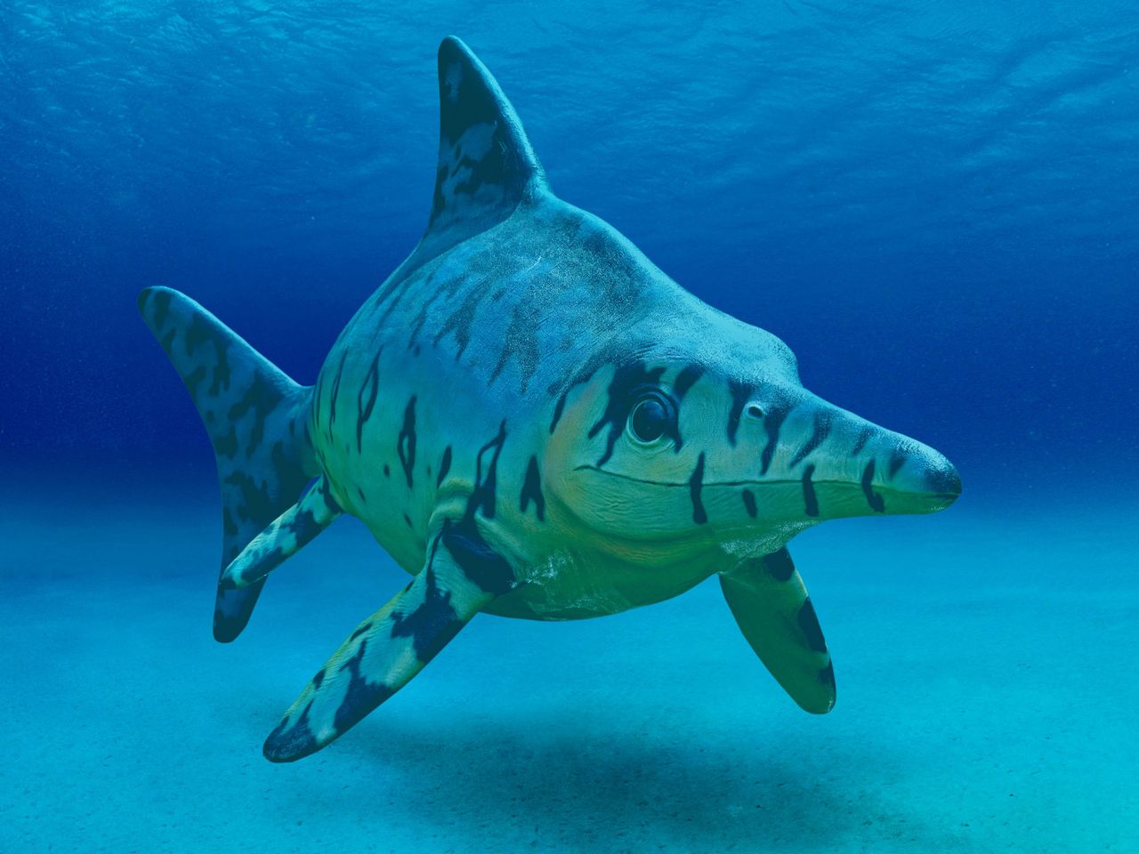 ichthyosaurus breviceps
