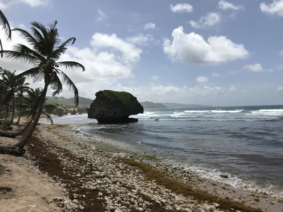 Outcrop. Bathsheba Beach, Barbados | Smithsonian Photo Contest ...