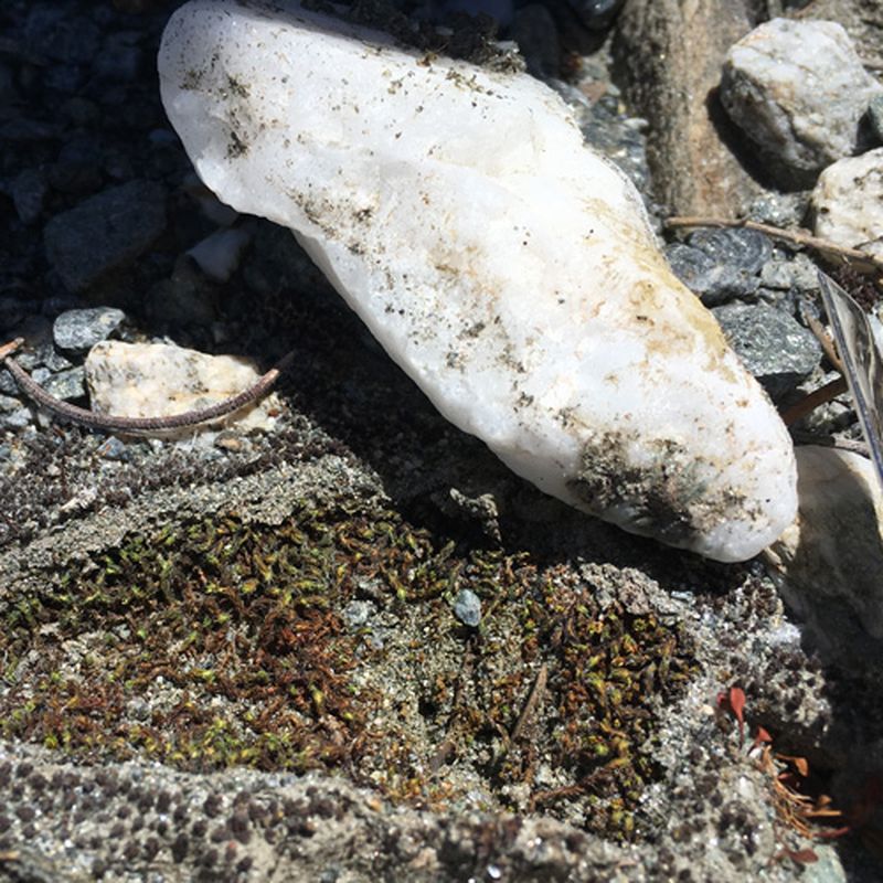 Crystals Growing On Rocks